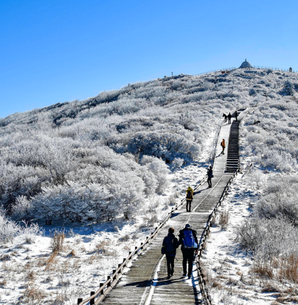 2025년 펜션 산업 트렌드 및 대응 전략